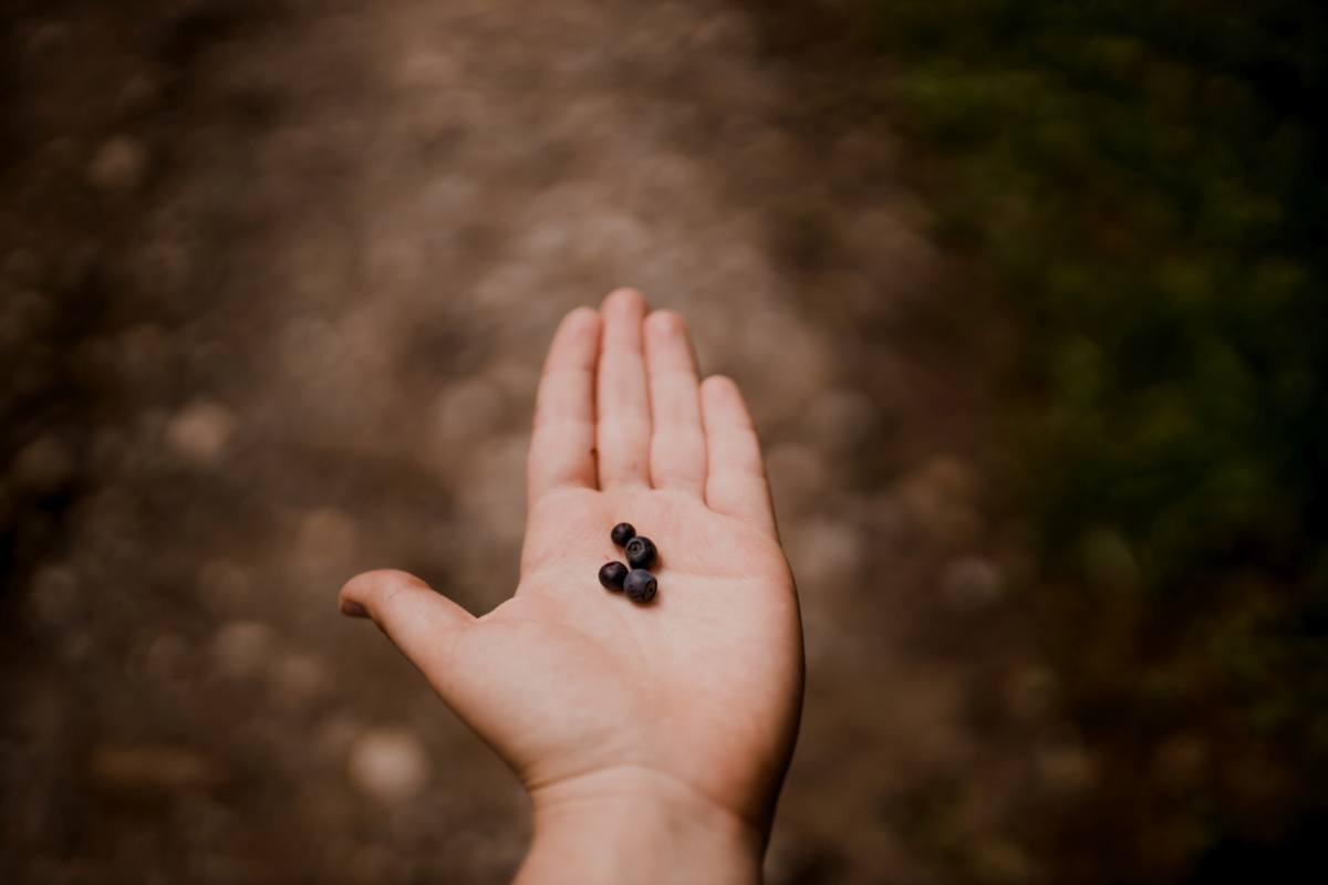Beskidy! 12 pomysłów na góry w województwie śląskim